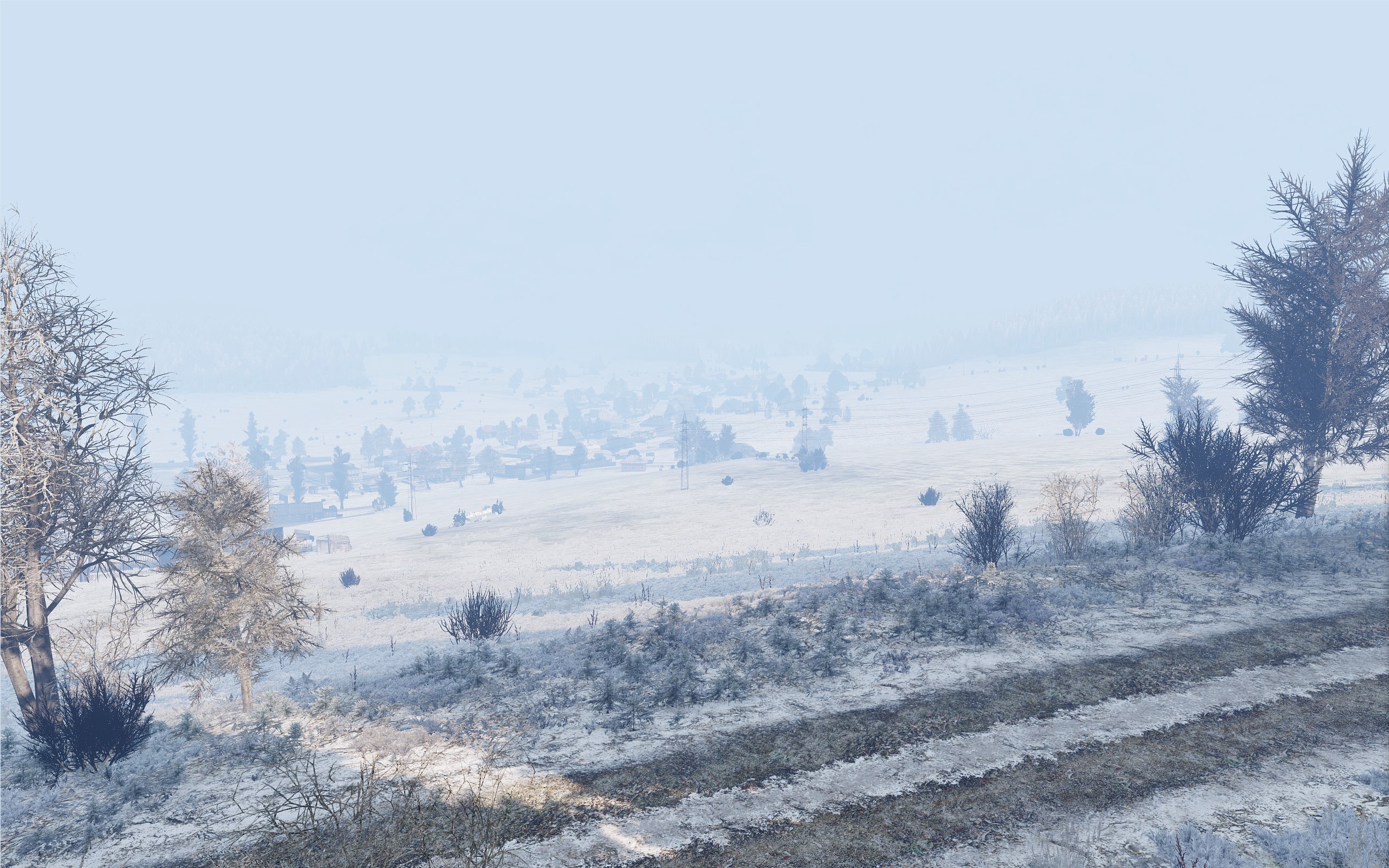 Operation Silver Back